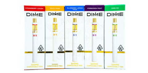 Dime Disposable .6g – Mango Diesel (S) | OC Delivery